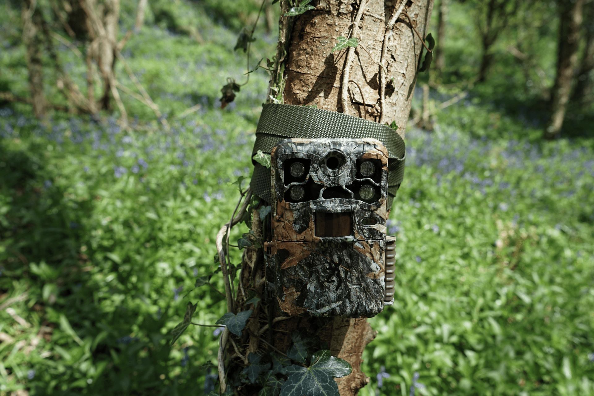Help choosing a camera trap – NatureSpy