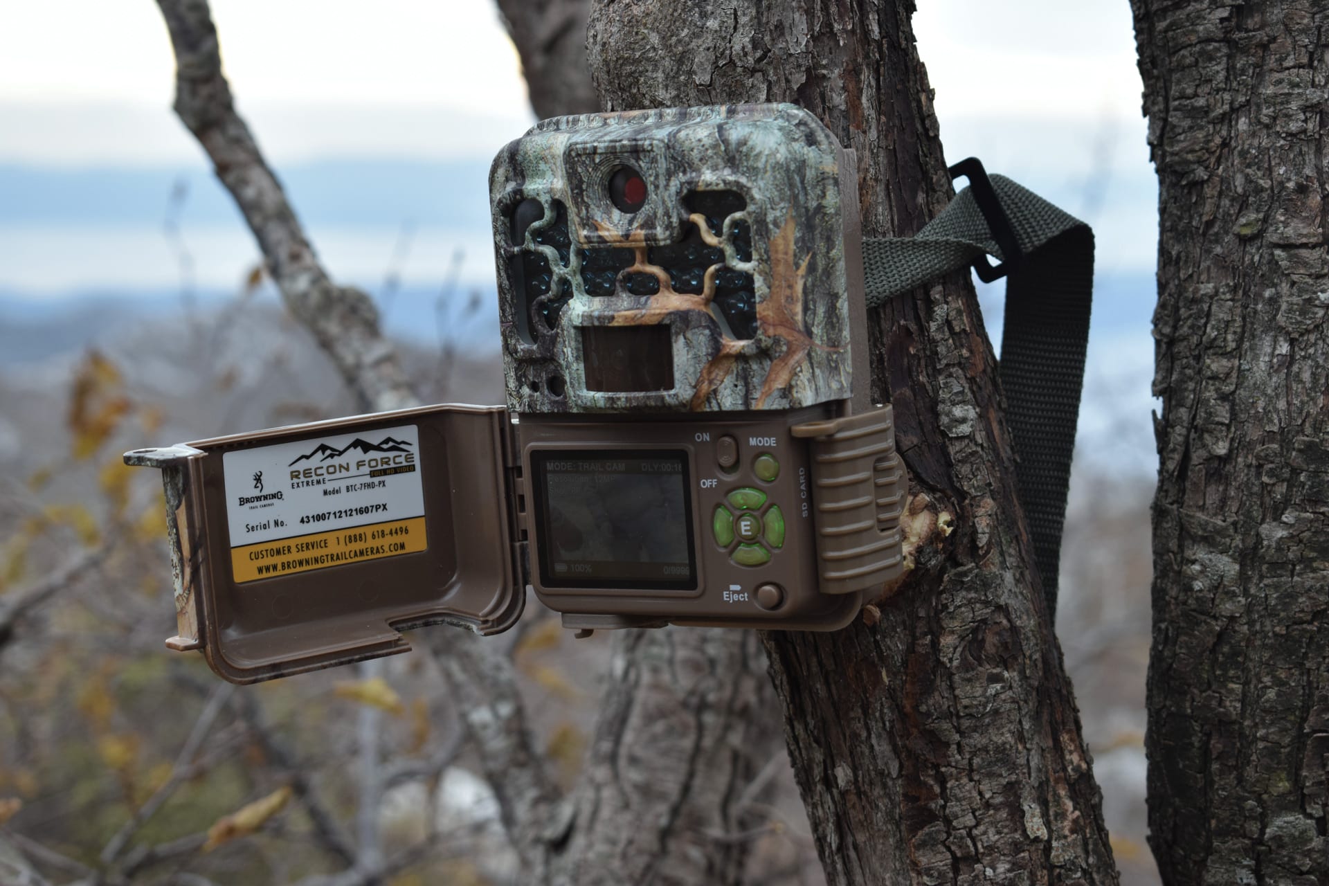 How Camera Traps Work – NatureSpy