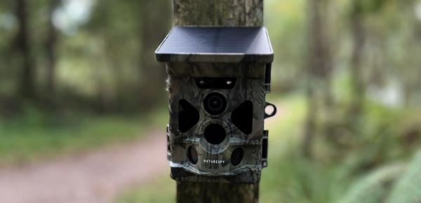 Wireless Wildlife Cameras | NatureSpy
