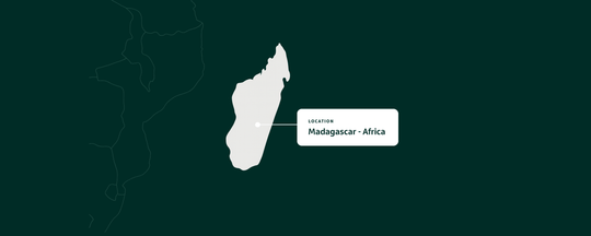 SEED Madagascar – NatureSpy