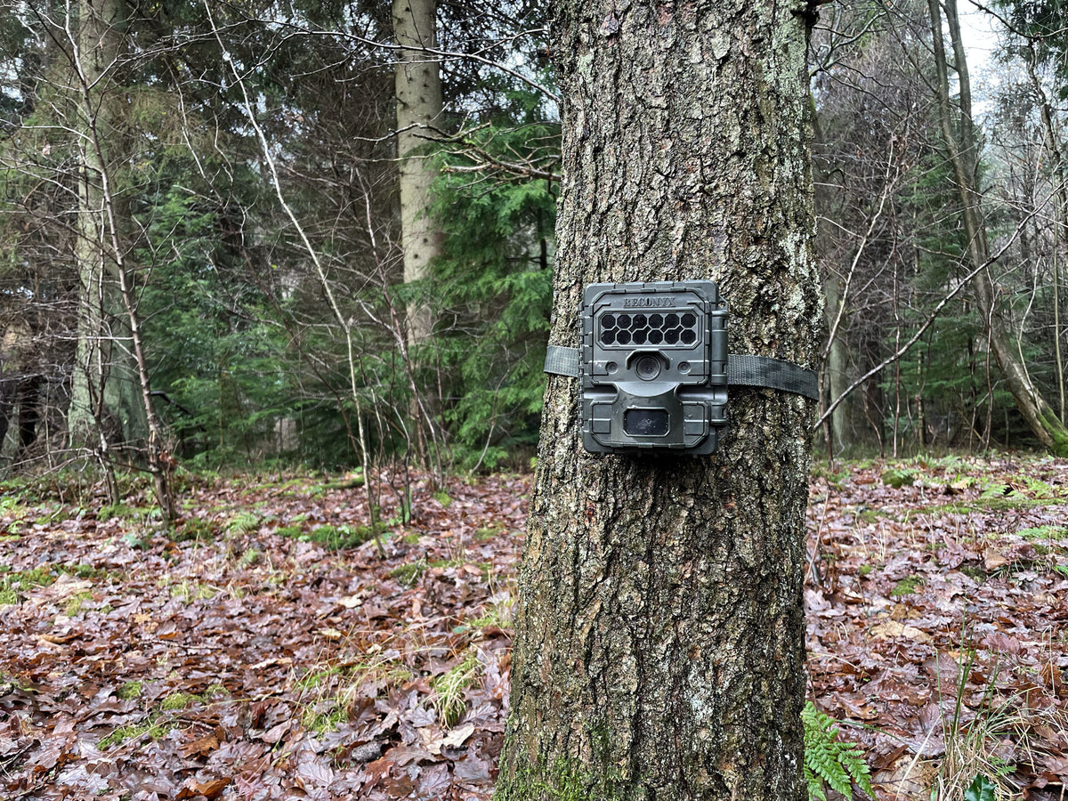 Reconyx Trail Cameras – NatureSpy